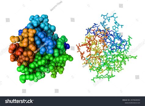 Cytokine Molecule Structure