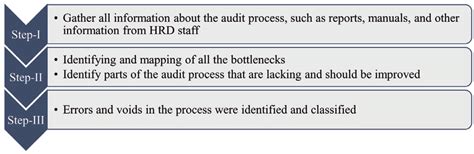 Process For Conducting The HR Audit For The Various Processes