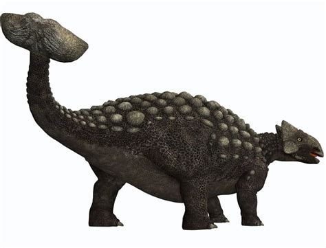 Herbivore Dinosaurs Names And Pictures