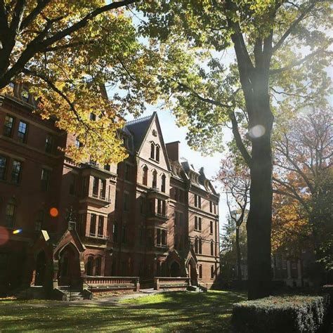 高校开放获取政策：哈佛大学篇 harvard 学术 成果