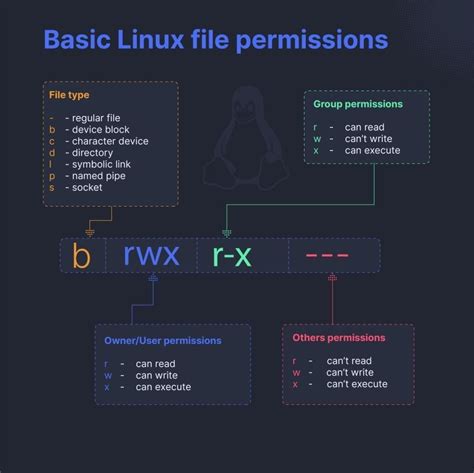 Abdelkarim Elaissaouy On Linkedin Basics File Permissions