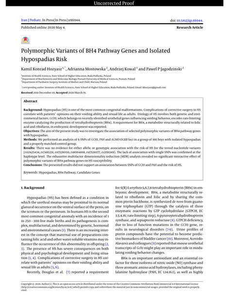 Pdf Polymorphic Variants Of Bh4 Pathway Genes And Isolated Hypospadias Risk