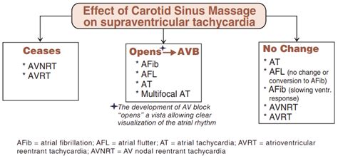 Differential Diagnosis Of Svt Ecg Book