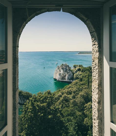 The Top 20 Best Zoom Backgrounds On Pexels