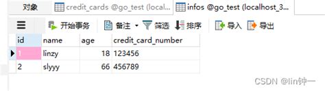 gorm学习（五）进阶：多态关联、关联标签以及事务 gorm多态 csdn博客