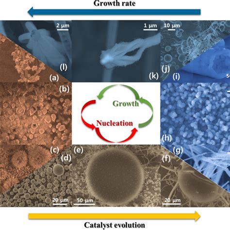 Various Sem Images Illustrating How The Microstructure And Morphology Download Scientific
