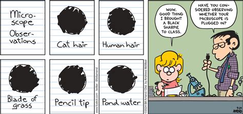 Microscope Observations Biology School Foxtrot Comics By Bill Amend
