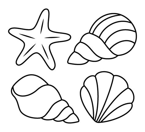 Set Of Sea Shells Outline Doodle Illustration For Colouring Pages