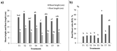 A Shoot Height And Root Length B Root Shoot Ratio R S Of AM And Download Scientific Diagram