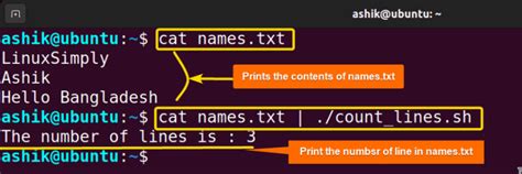 How To Read From Pipe In Bash Cases LinuxSimply
