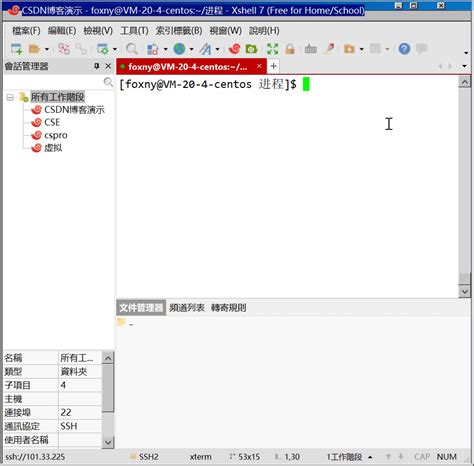 【看表情包学linux】11 进程的概念 进程控制块 Pcb 父进程与子进程 进程 Id Taskstruct子进程