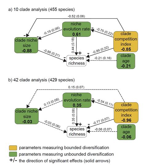 The Relative Roles Of Bounded And Unbounded Processes In Conifer Diversification Research