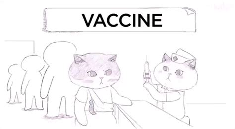 Video Amit Jaiswal Posted On Linkedin