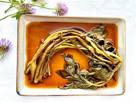 향이 진하고 참한 참나물 장아찌 만드는법