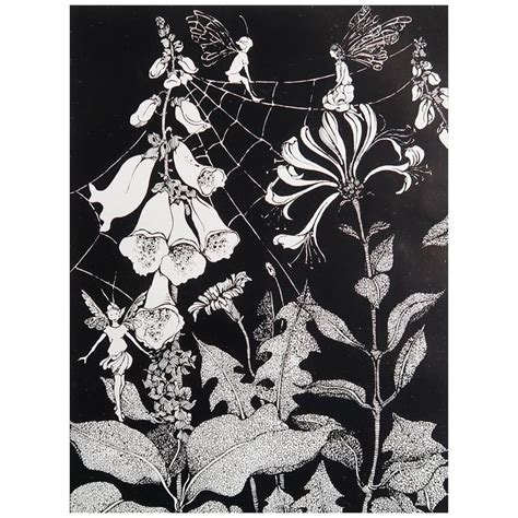 Original Vintage Print Of Fairies By Winifred Bromhall Circa 1900