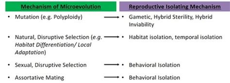 Exam 3 Biol 102 Flashcards Quizlet
