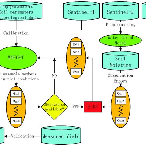 flowchart for the winter wheat yield estimation using the enkf based