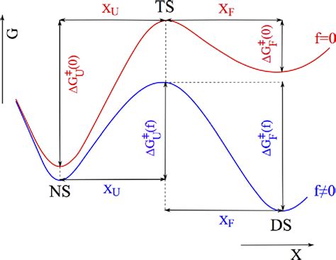 Figure 1 From A Topological Order Parameter For Describing Folding Free Energy Landscapes Of