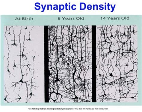 Harley Street Wellbeing Clinic