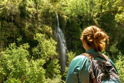 Levada Do Moinho To Levada Nova Waterfall Hike In Madeira