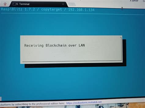 blockchain copy over lan network on raspberry pi r raspiblitz