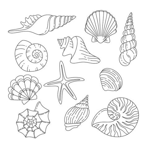 29991 Stock Vectors And Vector Art By Conch Shutterstock