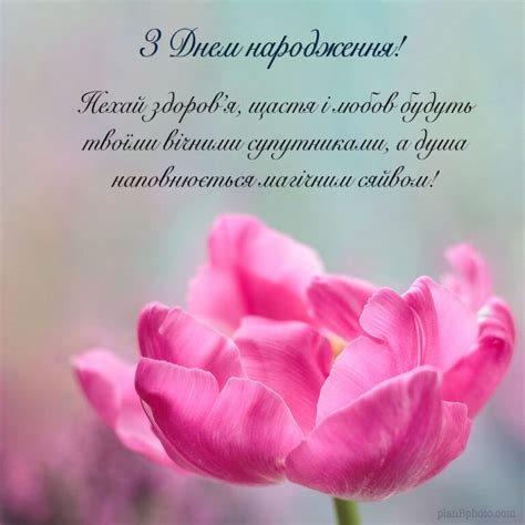 З днем народження мирного неба