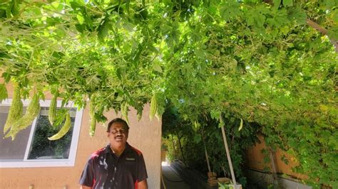 Sibi Joseph Posted On Linkedin