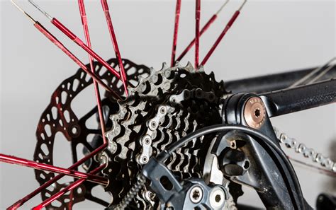 Bicycle Cassette Sizes At Gary Cadwell Blog