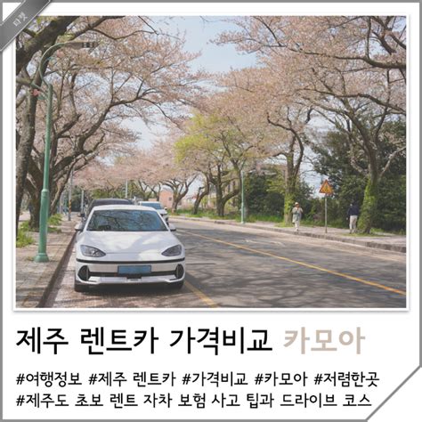 제주 렌트카 저렴한 카모아 제주도 렌트카 추천 초보 운전 자차 보험 사고 팁 네이버 블로그