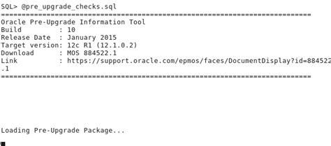 Sap Oracle Upgrade Steps From 11g To 12c For Sap S Sap Community