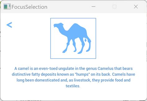 Tutorial Implementing Focus To Navigate And Select Controls Without