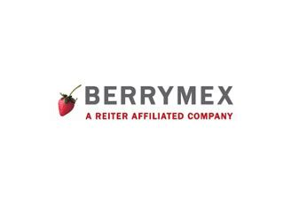 Berrymex S De Rl De Cv Diex Mexico