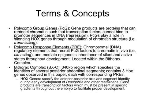 Polycomb Response Elements Ppt