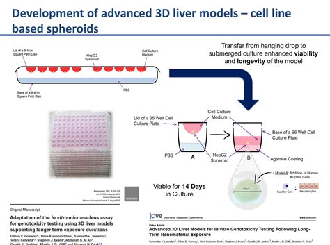 3d Cell Culture Models Enhancing Genotoxicity Testing Approaches