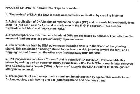 Dna Replication Dna Synthesis Diagram Quizlet