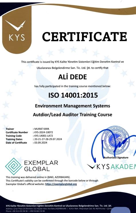 Dede Ali Posted On Linkedin