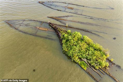 Americas Largest Ghost Fleet More Than 200 Sunken Ships That Lie On