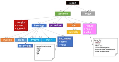 Cancer Information Extraction From Pathology Reports Using Clamp By Yaoyun Zhang Medium