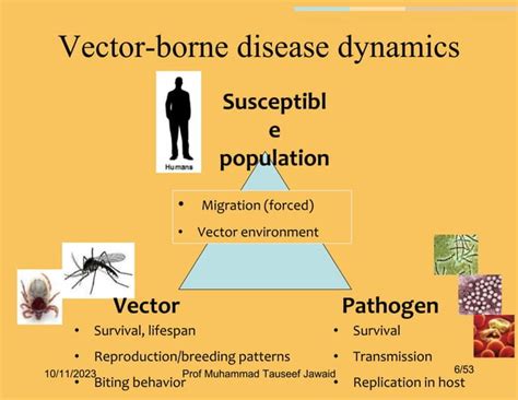 Vector Borne Diseasespptx Infectious Diseases Diseases And Conditions