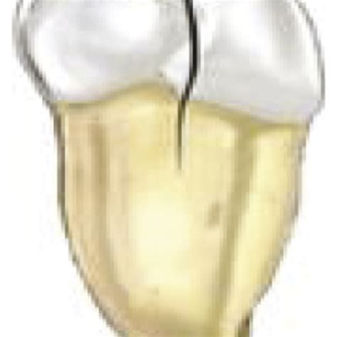 Tooth Slooth Tool For The Bite Test 13 Download Scientific Diagram