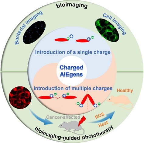 Charged Aggregation‐induced Emission Luminogens For Bioimaging And