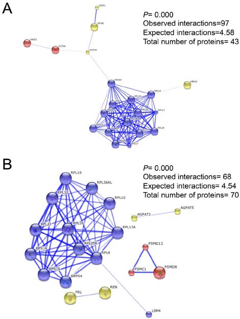 Individual Heatmap Representation Of The Transcriptome Analysis A