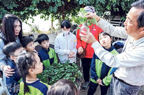 種植樂：讀繪本做蛋糕 支持本地農業 落手種士多啤梨 領悟生命獨特 20240116 副刊 每日明報 明報新聞網