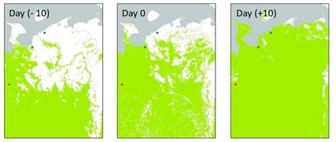 Research Gaps In Satellite Mapping For Snow Custom Binary Snow Maps With Camera Traps