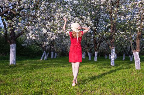 모자와 빨간 드레스를 입은 여자가 잔디밭에 서 있다 아름답고 무성한 꽃이 만발한 사과 나무에는 꽃이 흩어져 있습니다 꽃과 녹색 잎으로 덮인 사과의 봄 풍경 자연 경관 30
