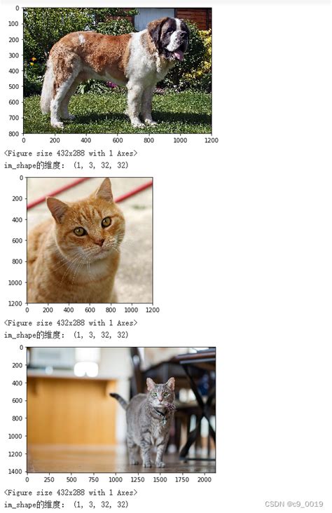用cnn实现猫狗识别猫狗识别深度学习 Csdn博客