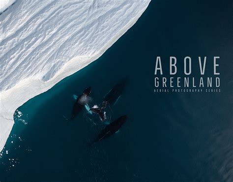 Acer Predator Behance