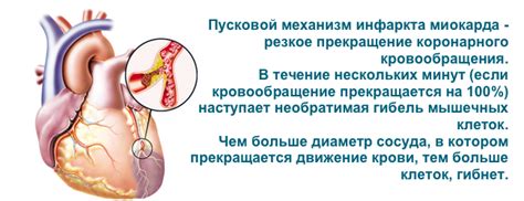 Тропоніни | Бережіть здоров'я!