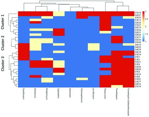 Heatmap Cluster Analysis Of E Coli Isolates Antibiogram Profiles